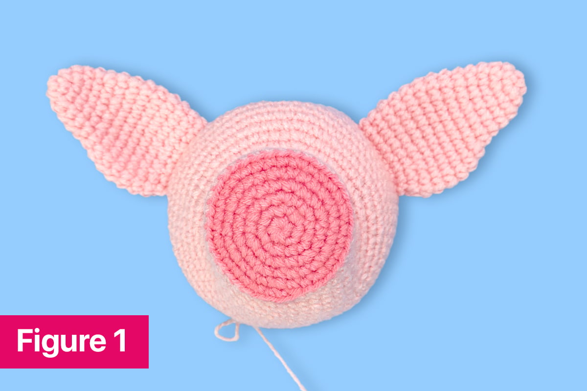 Free Pig Crochet Pattern 🐷